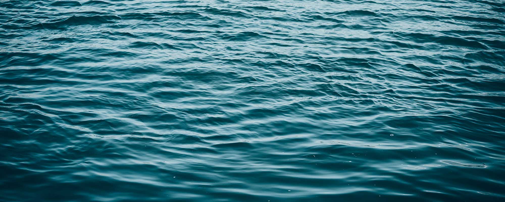 Over 18,000 Reef Credits sold - GreenCollar