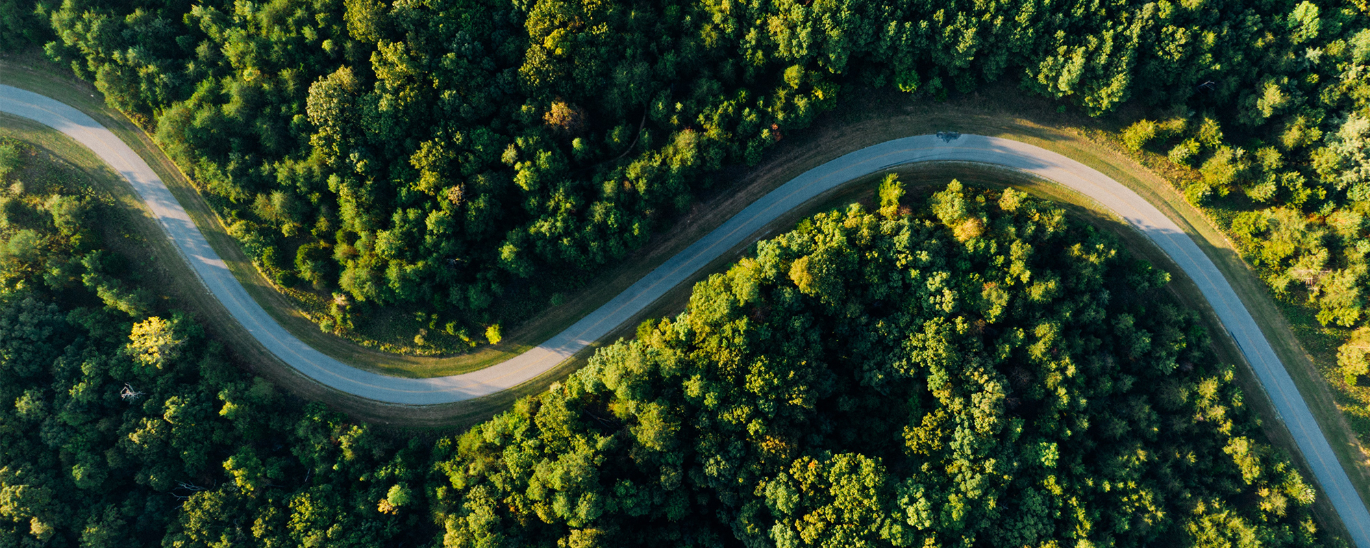 Partnerships - GreenCollar