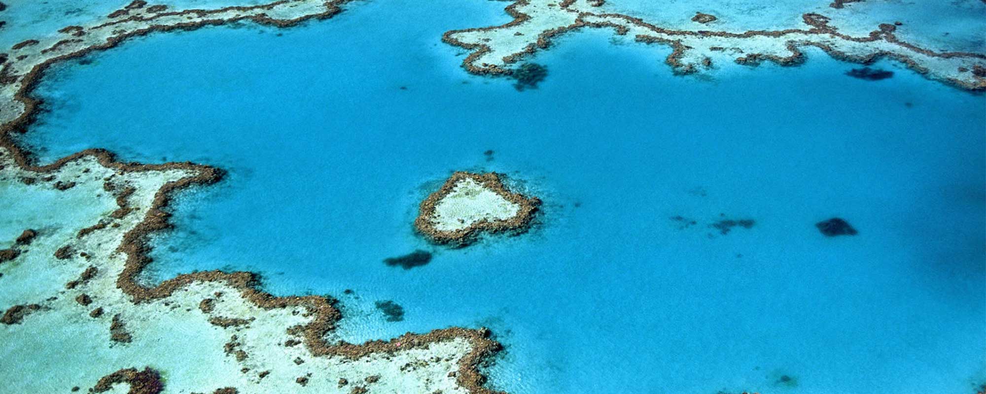 The flow-on benefits of Reef Credits - GreenCollar