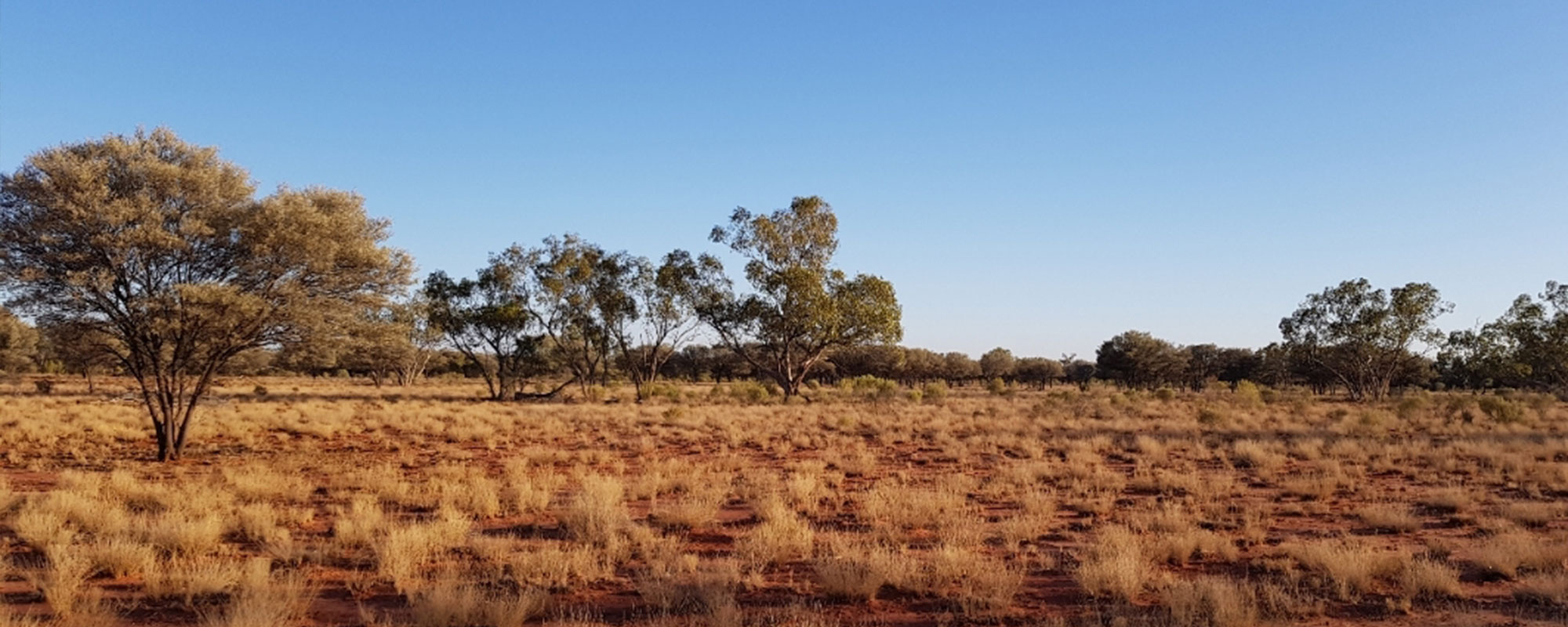 Paroo River - GreenCollar