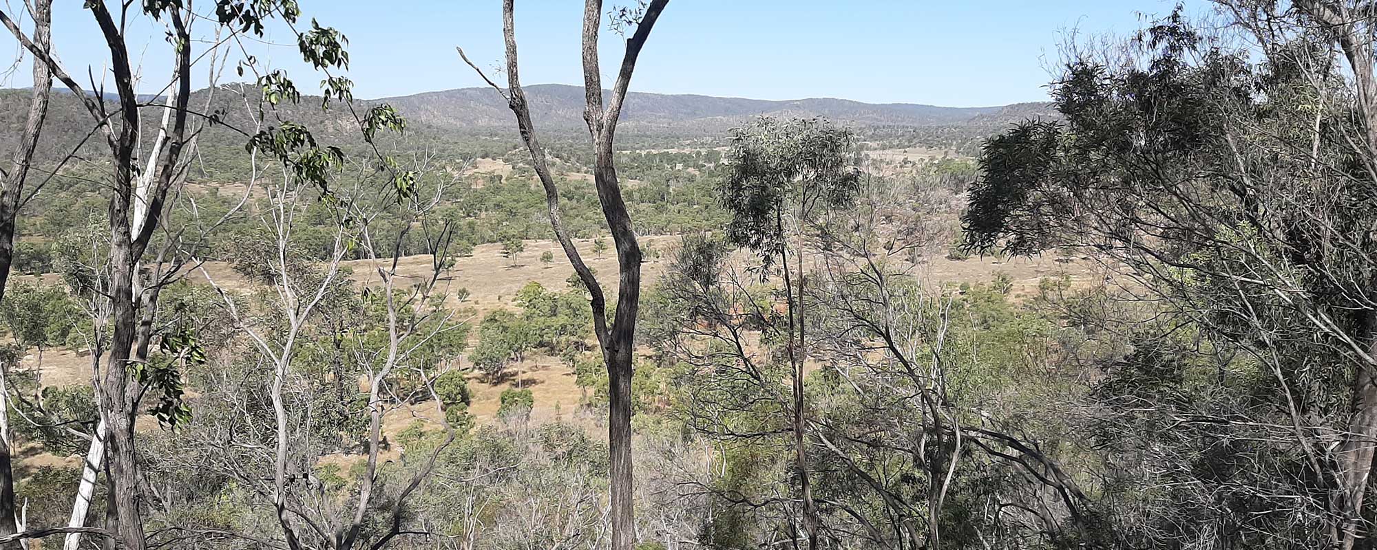 Catchment Conservation Alliance – GBR Initiative Site #17 - GreenCollar