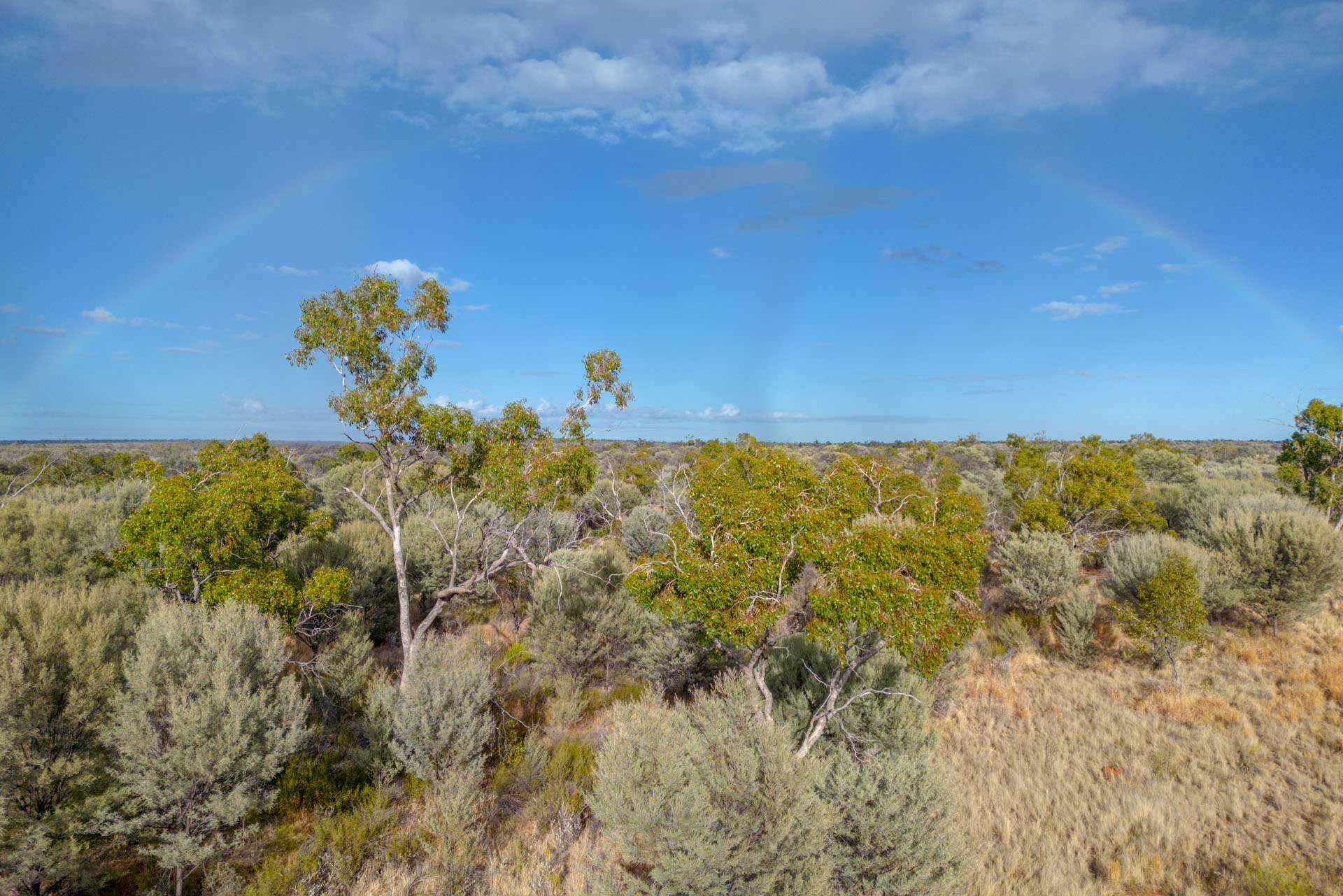 Catchment Conservation Alliance – Southern Rivers Initiative Site 5 ...