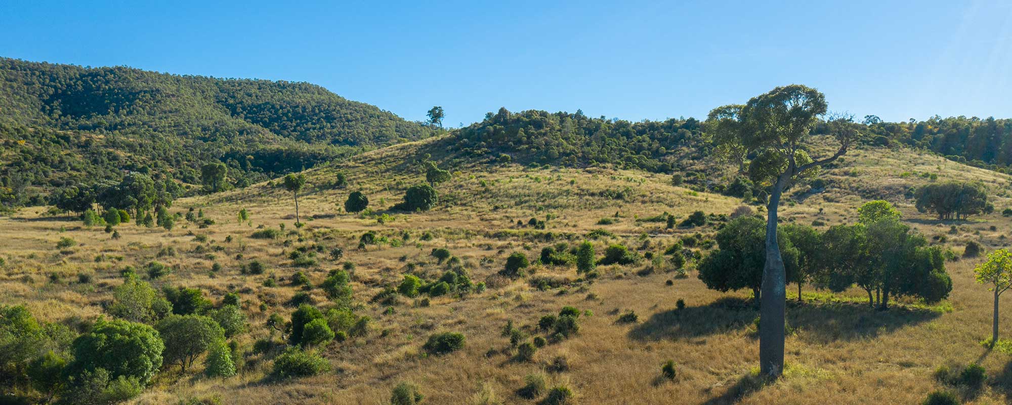 Catchment Conservation Alliance – Great Barrier Reef Initiative Site 16 ...