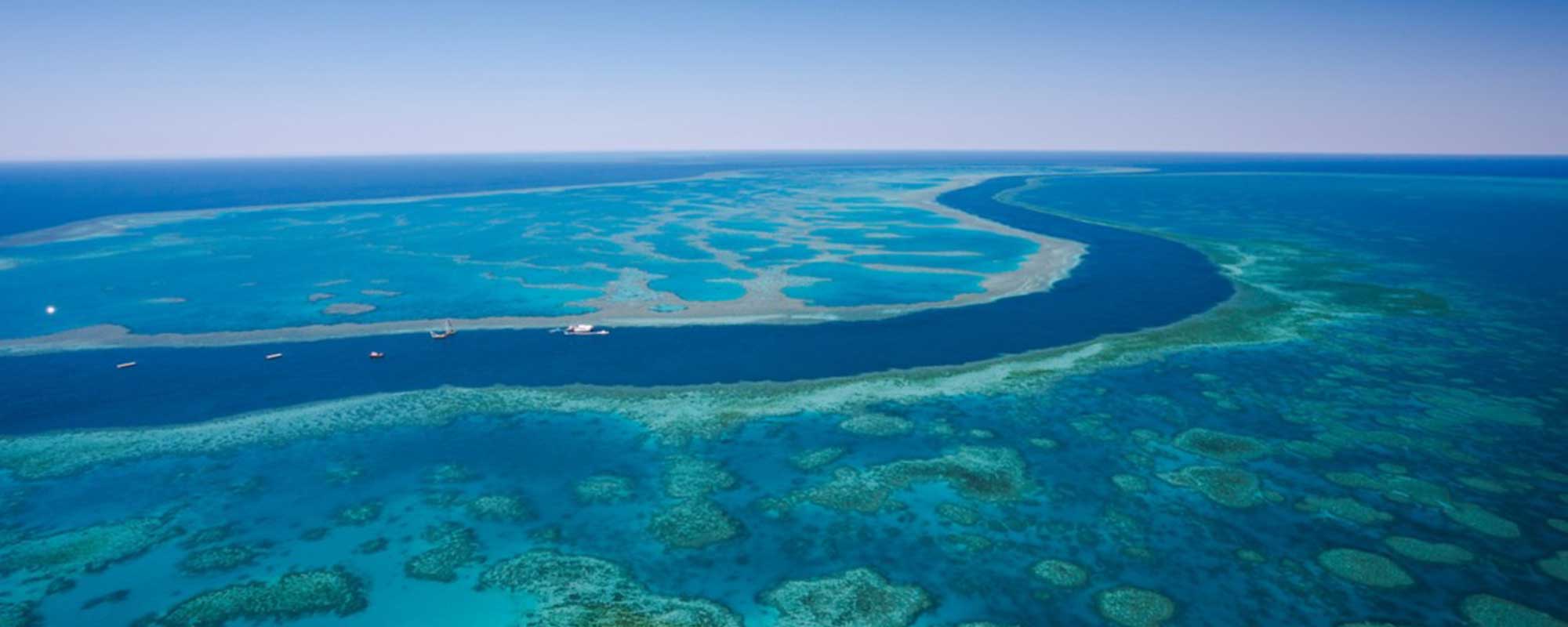 Reef Credits investment by Qantas helps deliver real change - GreenCollar