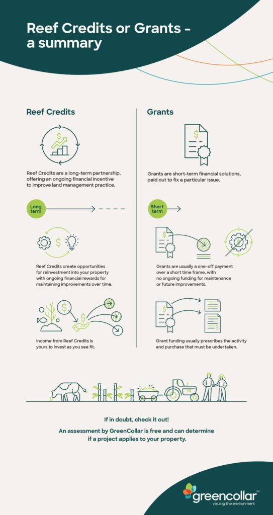 Reef Credits or Grants - carefully considering the best options for you ...