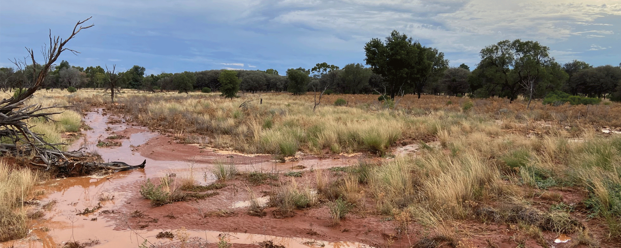 Boonora Downs - GreenCollar